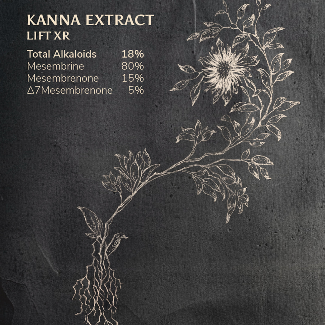 Kanna Extract Company – Kanna Extract Co.